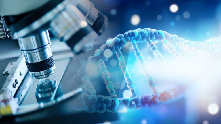 New Research Has Defined The Maximum Age Humans Can Reach - Prince EA ...