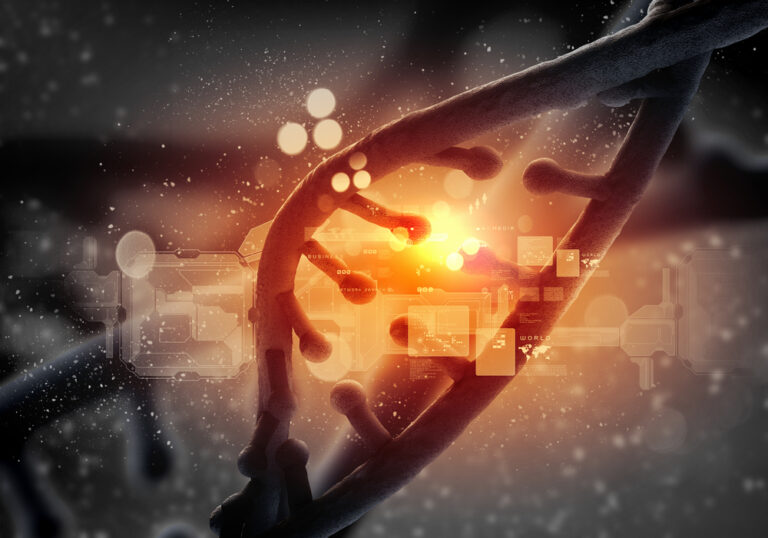 New DNA Findings on Century-Old Artifact Renew Claims of Jack the ...